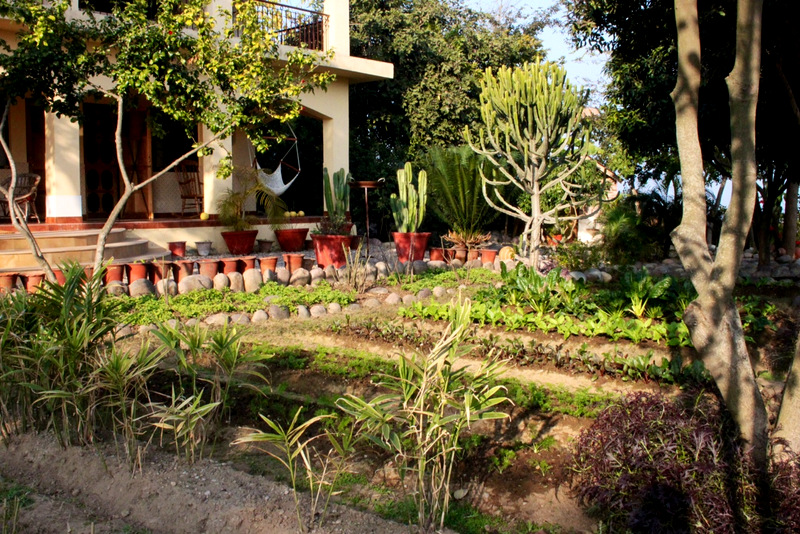 Gaddis, Gujars, weather and the vegetable garden at Basunti | Basunti ...