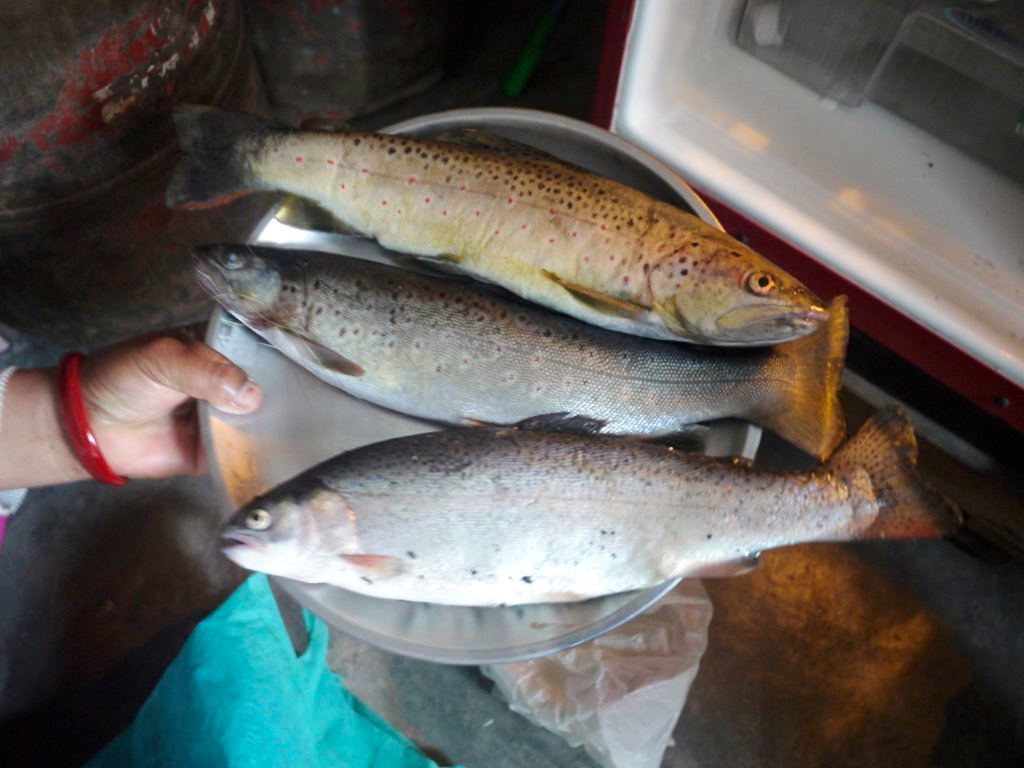 Barot – A Fisherman’s Dream | Basunti, a private lakeside yoga retreat ...